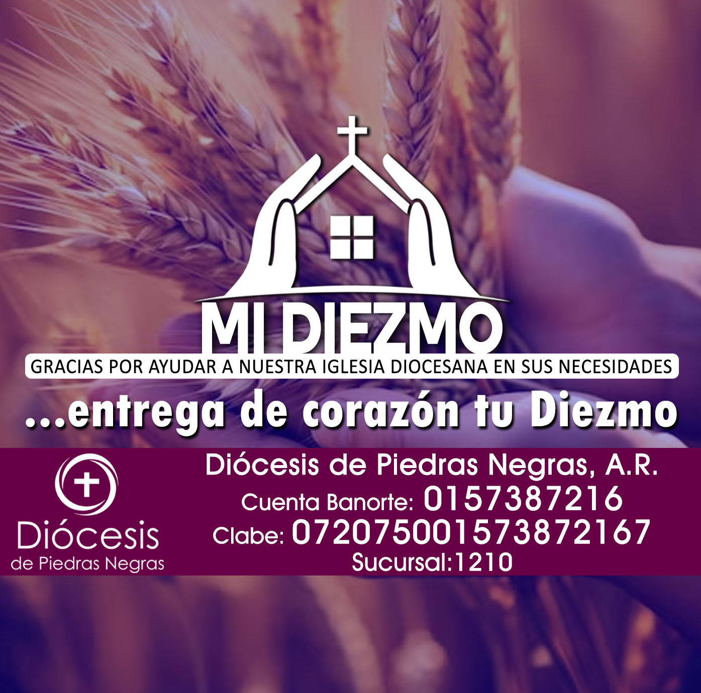 Diezmo – Mi Diócesis de Piedras Negras